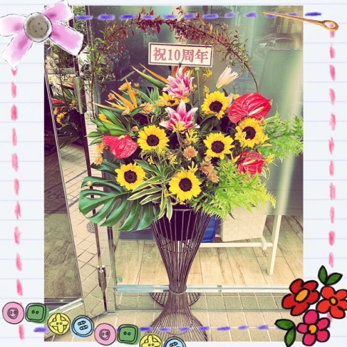 SunLuce おかげさまで10周年デス！